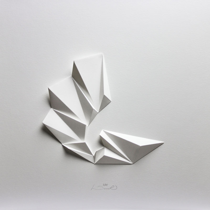 I Apply Design And Model Making Skills To Create Bionic Paper Reliefs ...