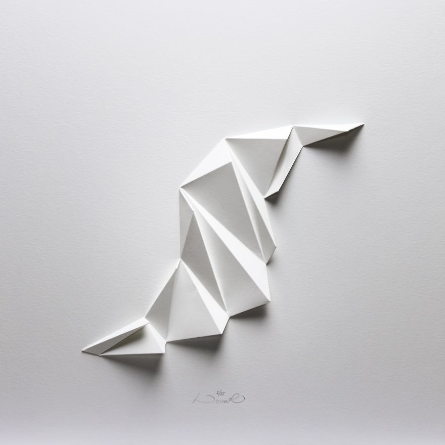 I Apply Design And Model Making Skills To Create Bionic Paper Reliefs ...