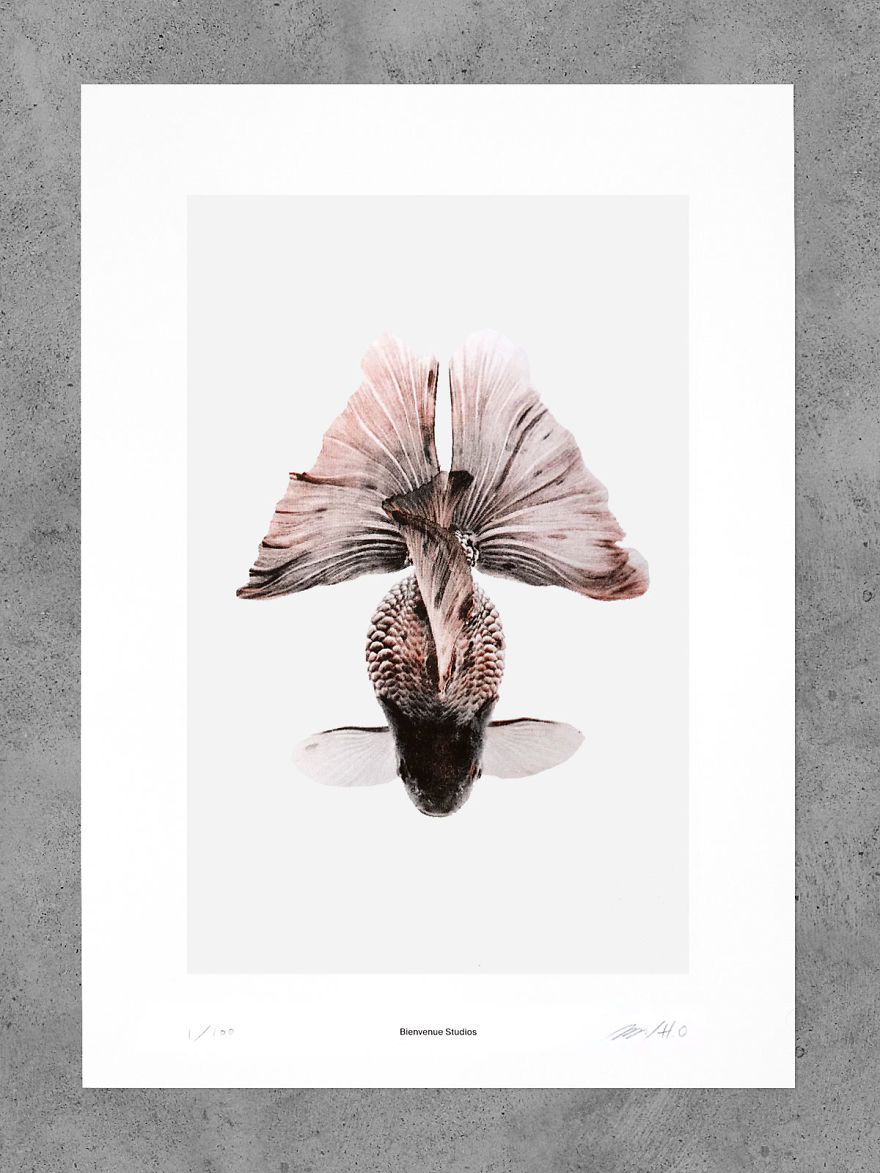 Morbid Being | Bored Panda