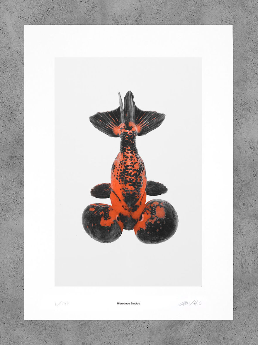 Morbid Being | Bored Panda