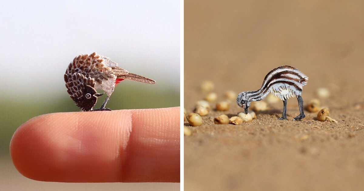 We Are Creating Miniature Paper Cut Birds Everyday For An Entire Year ...