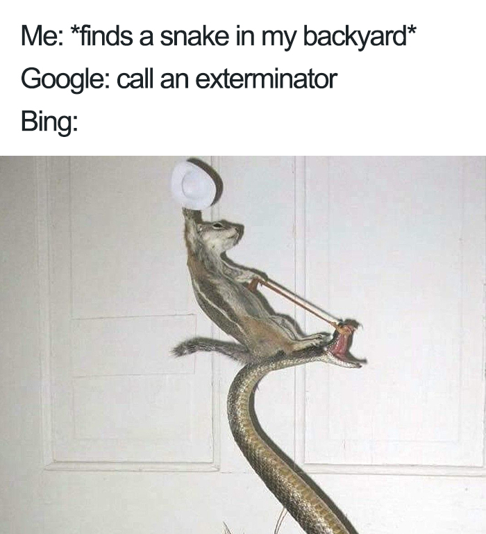 20 Hilarious Google Vs. Bing Memes | Bored Panda
