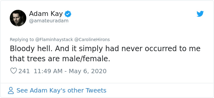 Scientist Discovers That “Tree Sexism” Might Be A Major Reason Behind ...