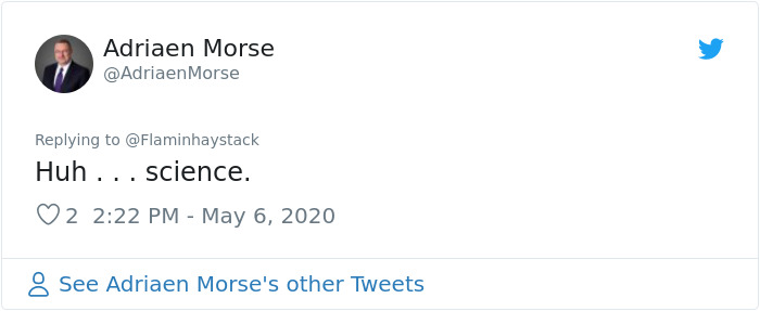 Scientist Discovers That “Tree Sexism” Might Be A Major Reason Behind ...