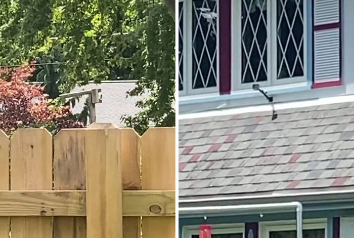 Couple Block Neighbor's View After She Installs 5 Cameras | Bored Panda