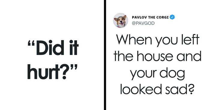 30 Of The Best “Did It Hurt?” Memes That Are Trending On Twitter ...
