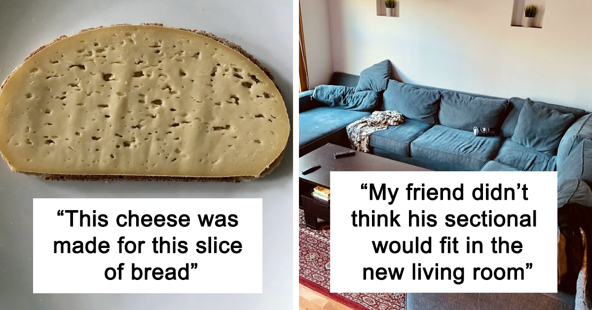 50 Times People Encountered A ‘Perfect Fit’ In Real Life And Just Had ...