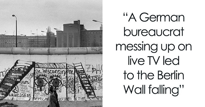 30 Of The Most Interesting Examples Of The “Butterfly Effect” Happening ...