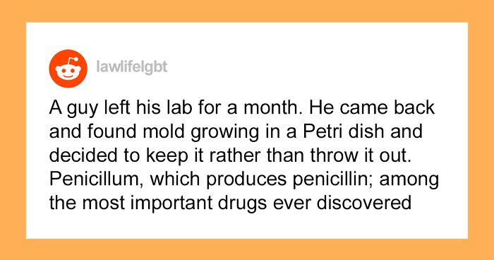 30 Of The Most Interesting Examples Of The “Butterfly Effect” Happening ...