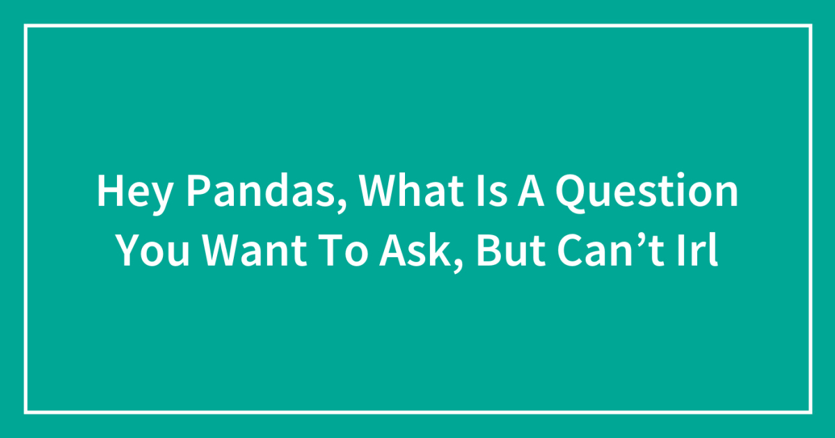 Hey Pandas, What Is A Question You Want To Ask, But Can’t Irl (Closed ...