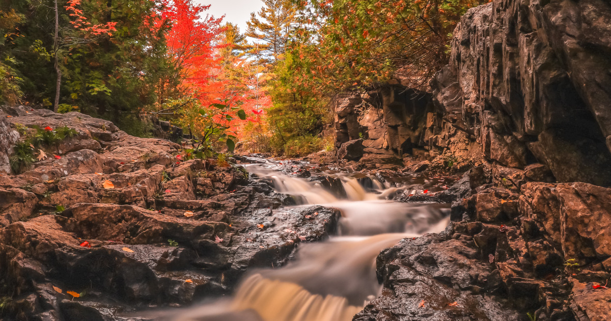 I’m Ready For Fall Photography (4 Pics) | Bored Panda