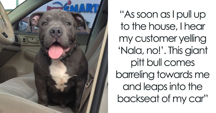 29 Of The Weirdest And Wildest Things Seen By Food Delivery Drivers On ...