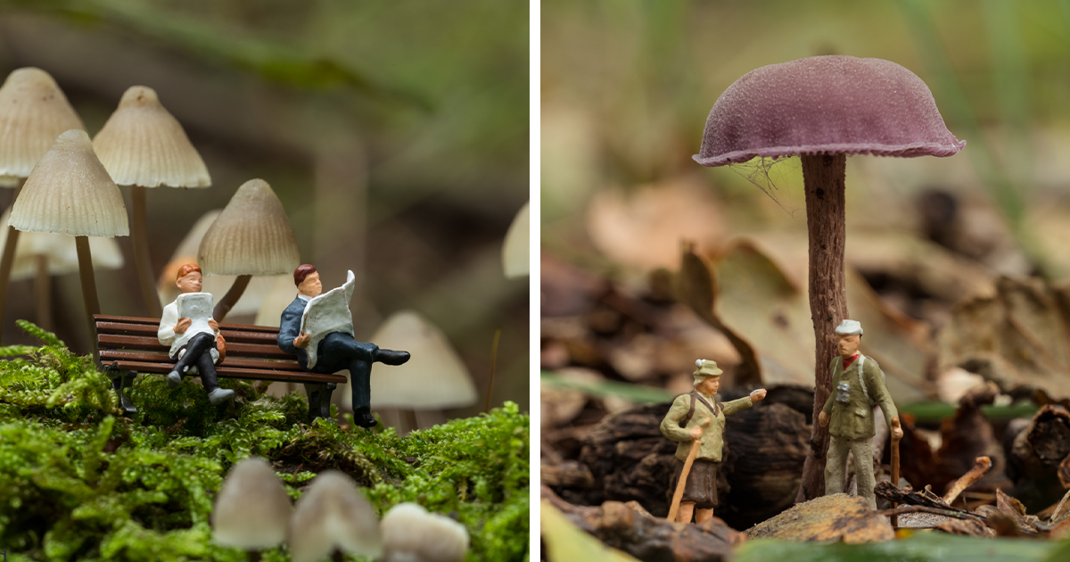 35 Photos Of My Miniature Worlds And The People Who Live There (New ...