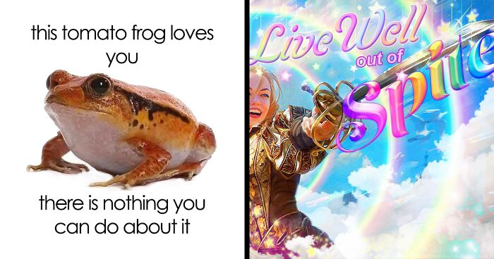 35 Funny Memes On Everyday Life With A Positively Aggressive Twist