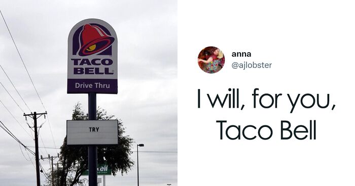 35 Funny Memes On Everyday Life With A Positively Aggressive Twist