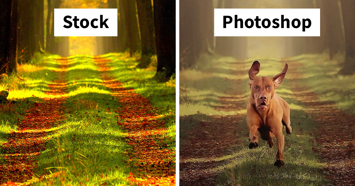 Photographer Caught Photoshopping His Photos From Stock Pictures ...