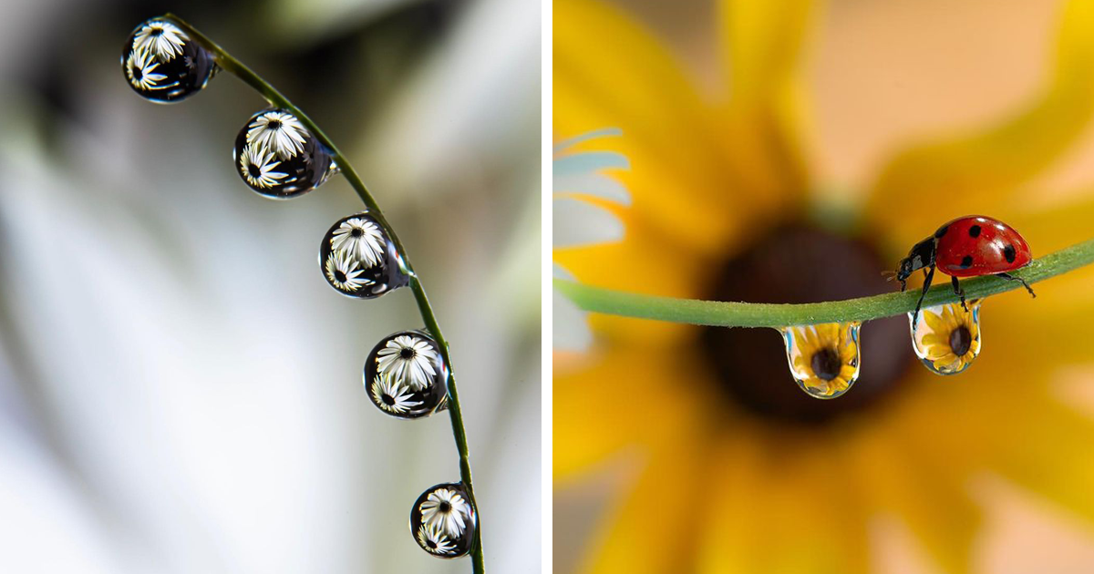 Photographer Gives A Glimpse Of How He Makes His Photos Using Water ...