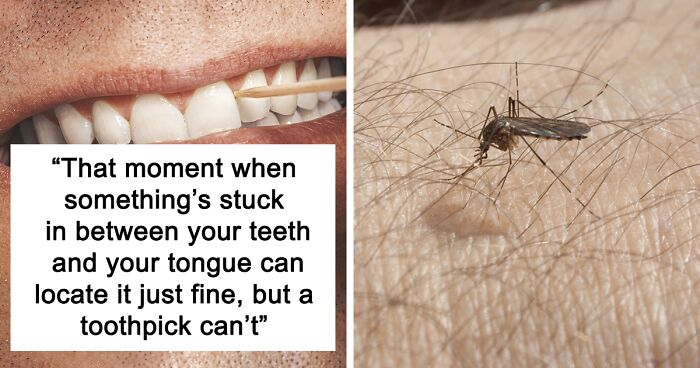 50 Things That Are Pretty Much Universally Hated By All People