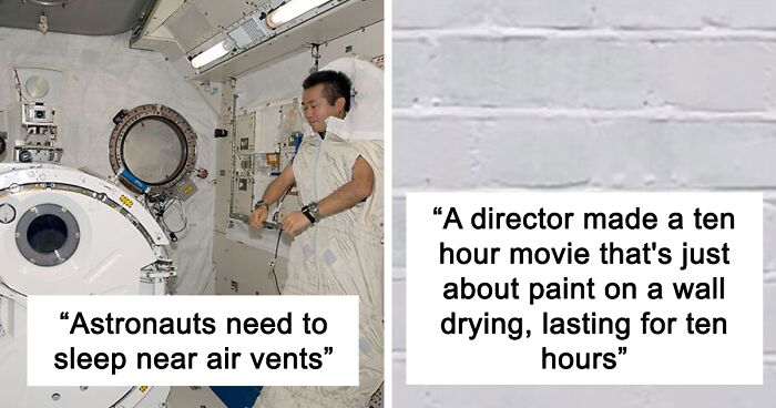 30 ‘Today I Learned’ Facts That Show It’s Never Too Late To Learn (New ...