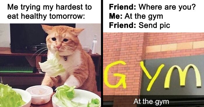 50 Of The Best Food-Related Memes