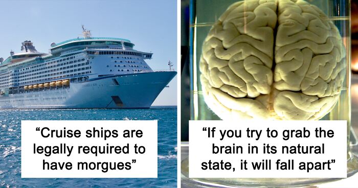 Guy Shares Disturbing Facts To “Ruin Your Day” And Here’s 35 Of The ...