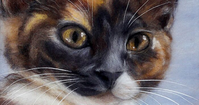 I Make Realistic Wool Pet Portraits That Preserve The Memory Of Beloved ...