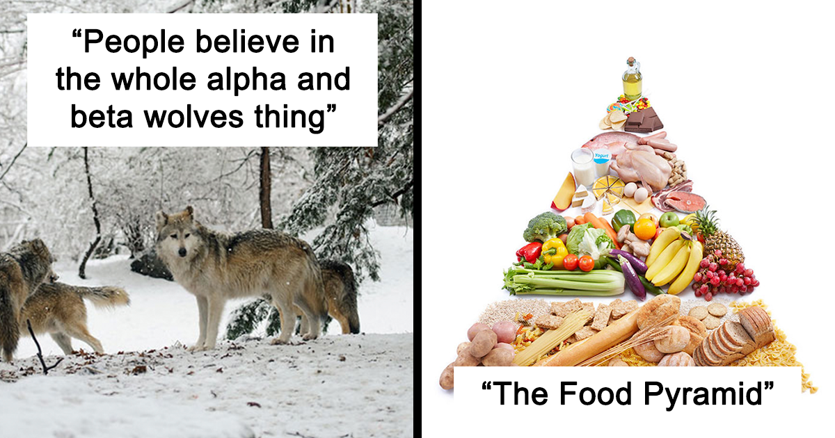 30 Myths That Widely Circulate As Truth, According To This Viral Thread ...