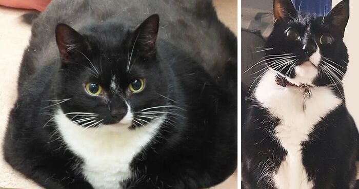 30 Former Chonks That Lost The Weight And Look Great Now