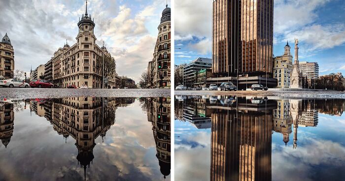 I Discover Hidden Parallel Worlds In Puddles And Other Reflections On ...