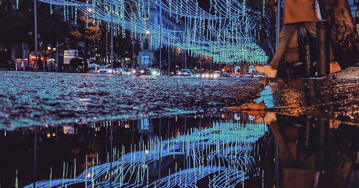 I Discover Hidden Parallel Worlds In Puddles And Other Reflections On ...