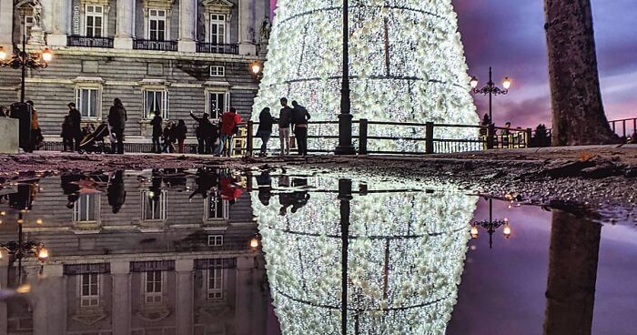 I Discover Hidden Parallel Worlds In Puddles And Other Reflections On ...