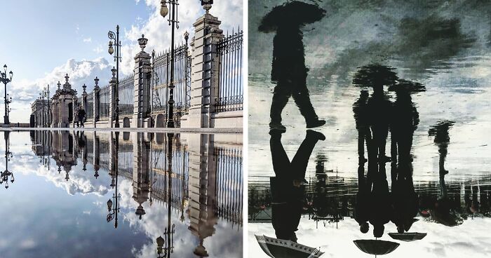 I Discover Hidden Parallel Worlds In Puddles And Other Reflections On ...