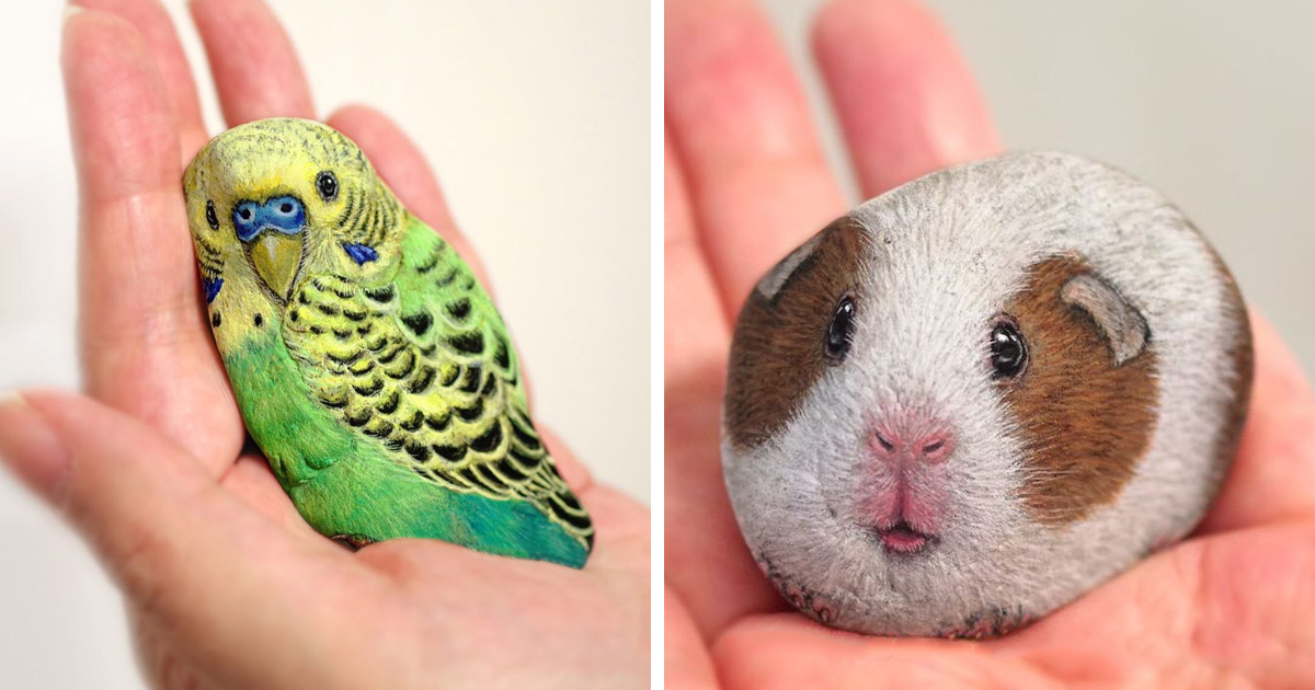 Japanese Artist Turns Blunt Stones Into Adorable Animals (70 New Pics ...