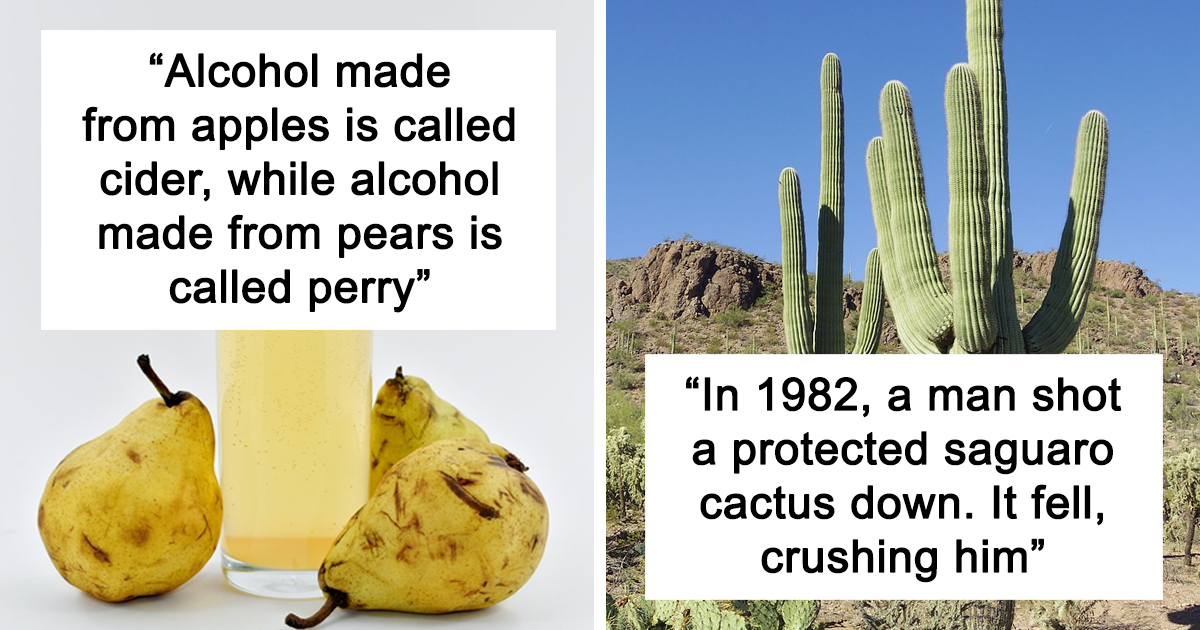 30 ‘Today I Learned’ Facts That Show It’s Never Too Late To Learn (New ...