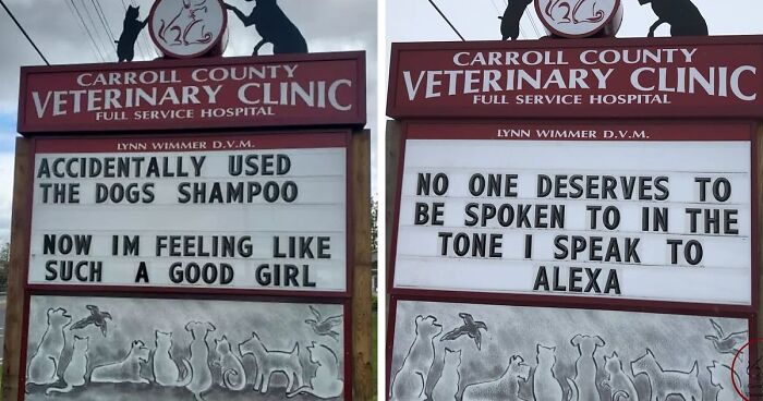 30 Of The Funniest Outdoor Signs From This Vet Clinic To Make You Crack ...