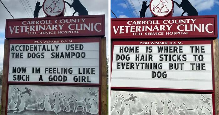 30 Of The Funniest Outdoor Signs From This Vet Clinic To Make You Crack ...