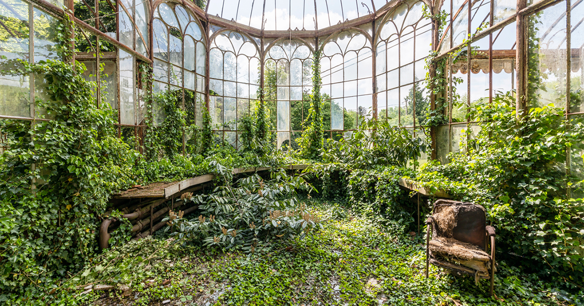 My Photo Project Shows What The World Would Look Like If Humans ...