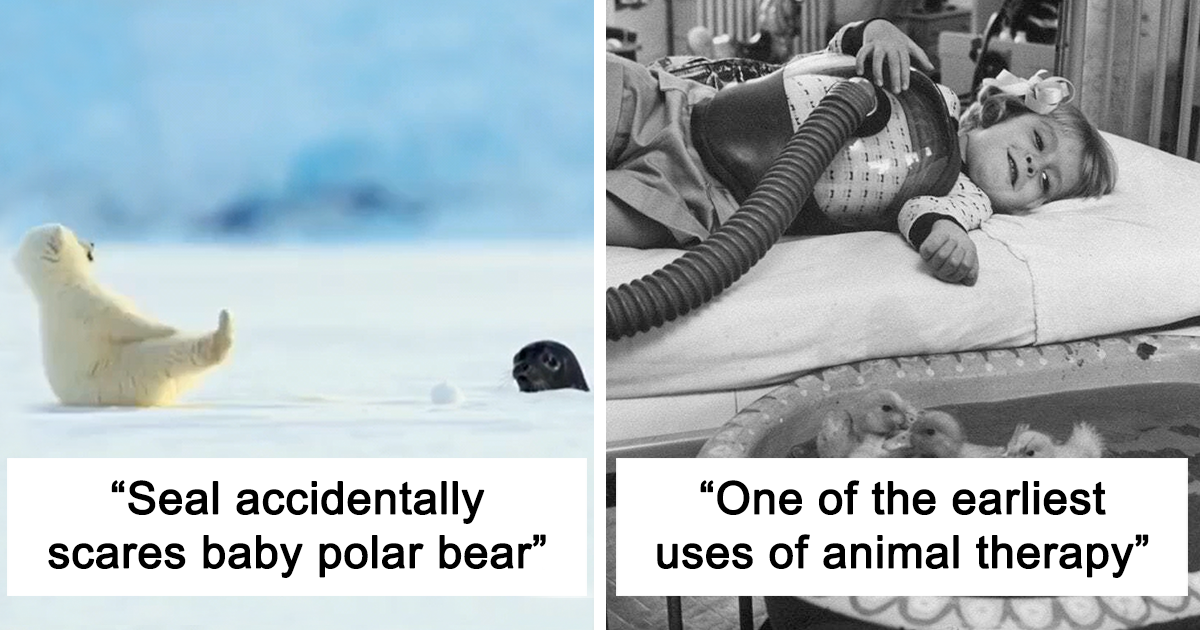 “Tiny Units” Online Group Is Dedicated To Everything That Comes In Cute ...