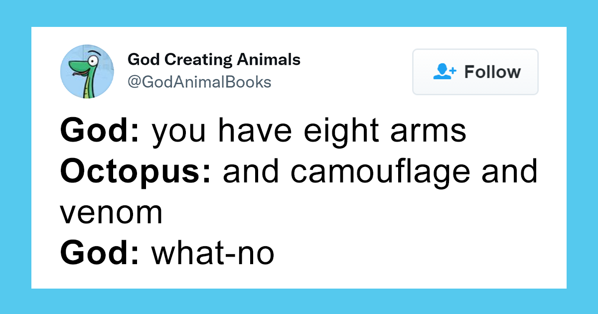 Here’s What God Must’ve Told The Animals While He Was Creating Them (30 ...