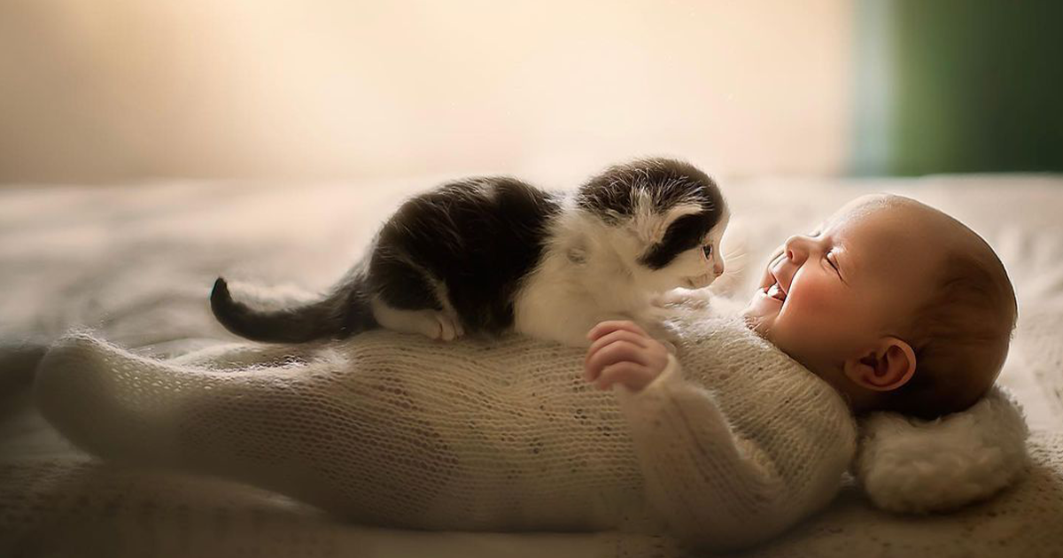 Sweet Photographs Of Kids With Animals That Might Make Your Heart Melt ...