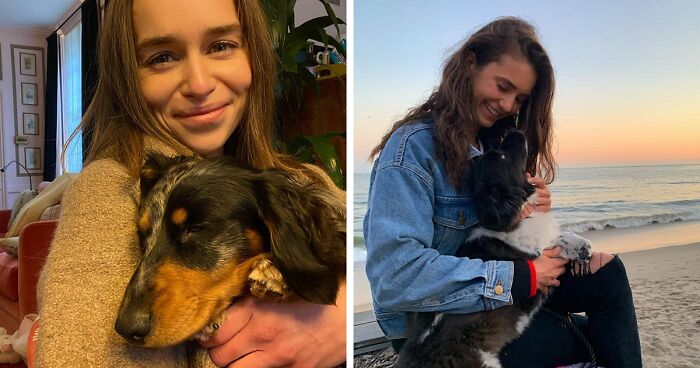 30 Celebrities Who Have Openly Displayed Their Immense Love For Dogs ...