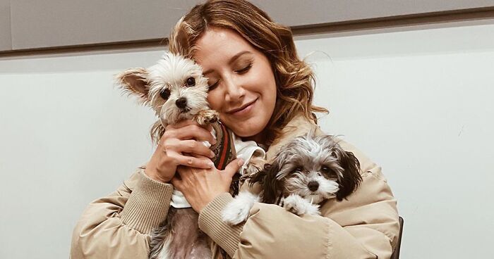 30 Celebrities Who Have Openly Displayed Their Immense Love For Dogs ...