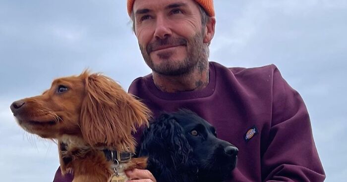 30 Celebrities Who Have Openly Displayed Their Immense Love For Dogs ...