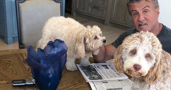 30 Celebrities Who Have Openly Displayed Their Immense Love For Dogs ...