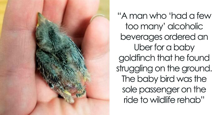 This Online Group Is Dedicated To The Most “Chaotic Good” Actions They ...