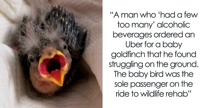 This Online Group Is Dedicated To The Most “Chaotic Good” Actions They ...