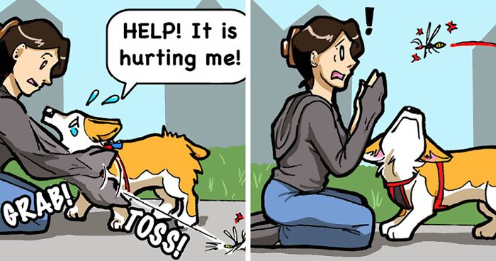 Adventures Of Living With Two Rescue Dogs: 26 Comics I’ve Made