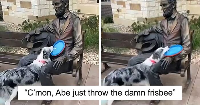 50 Of The Derpiest Dogs Caught On Camera (New Pics) | Bored Panda