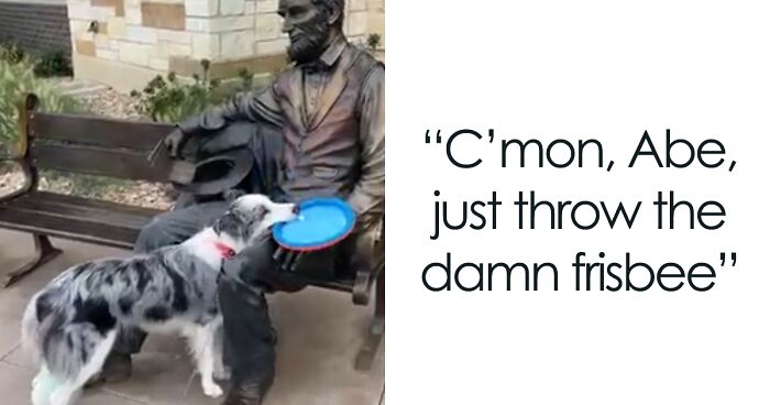 50 Of The Derpiest Dogs Caught On Camera (New Pics) | Bored Panda