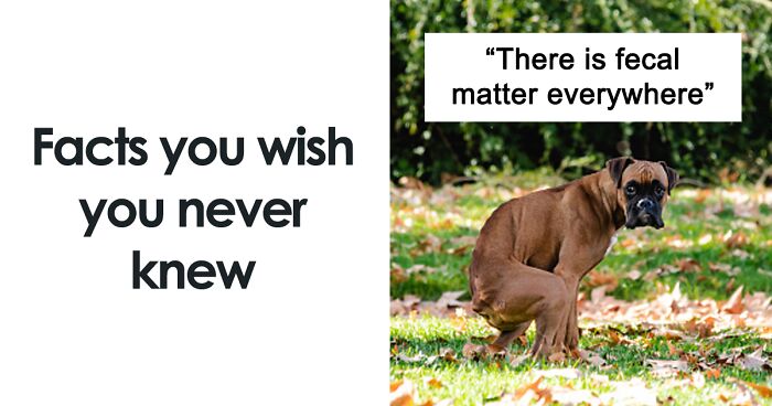 30 Disturbing Facts That People Probably Shouldn’t Have Shared But Did ...